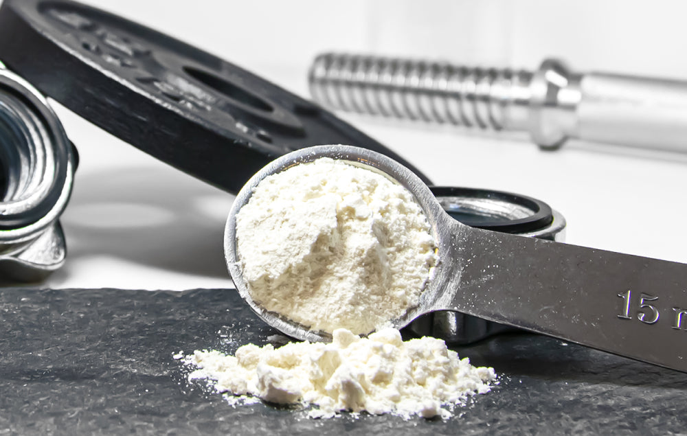 Pourquoi prendre de la protéine en poudre ? À quoi ça sert ? – Nutrimuscle
