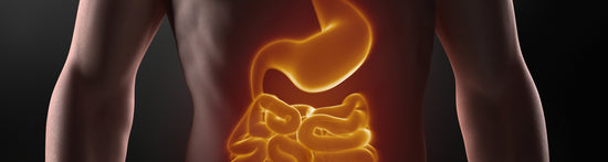 Digestion difficile : causes, Symptômes et Solutions – Nutrimuscle